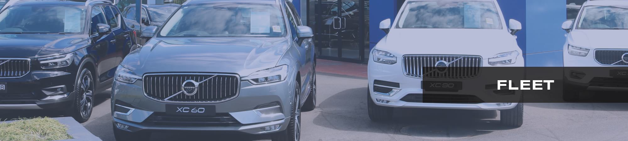 Fleet - Allan Mackay Autos
